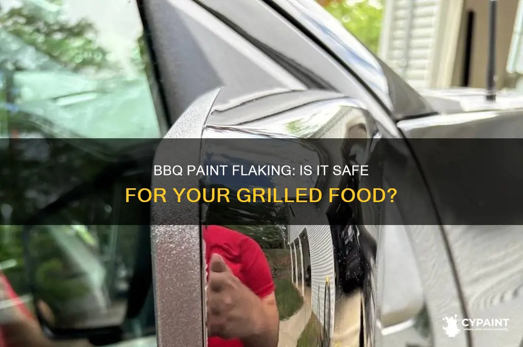 Bbq Paint Flaking: Is It Safe For Your Grilled Food? | CyPaint