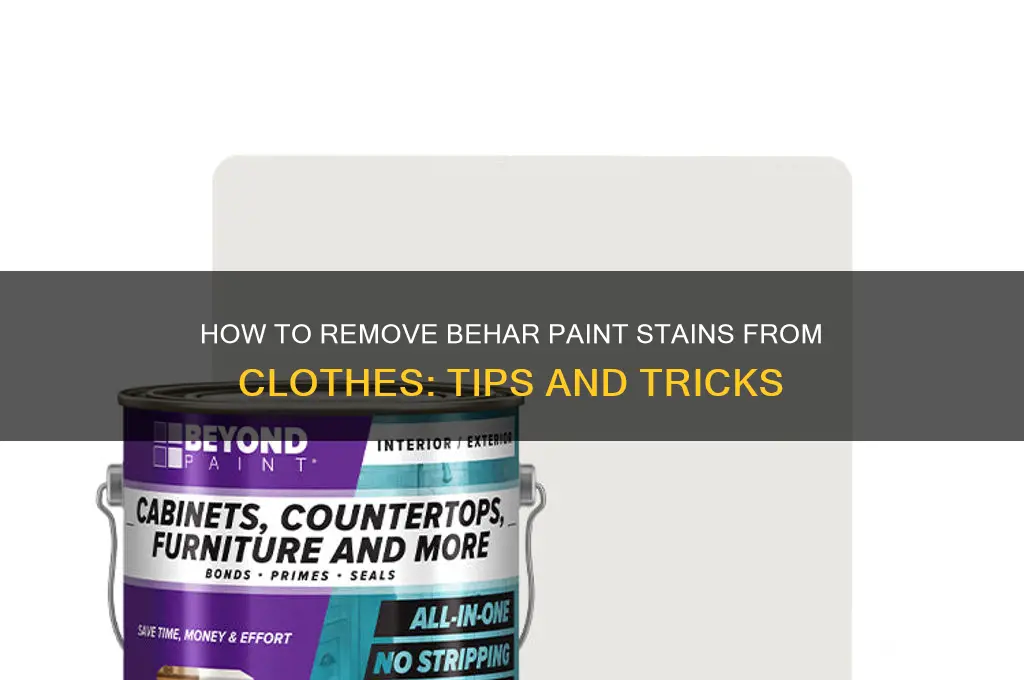 How To Remove Behar Paint Stains From Clothes: Tips And Tricks | CyPaint