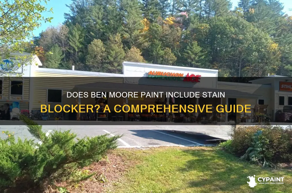 Does Ben Moore Paint Include Stain Blocker? A Comprehensive Guide | CyPaint