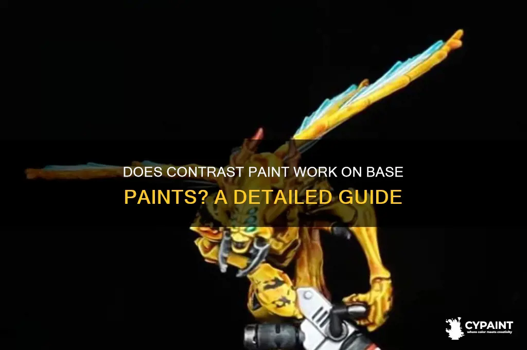 Does Contrast Paint Work On Base Paints? A Detailed Guide | CyPaint