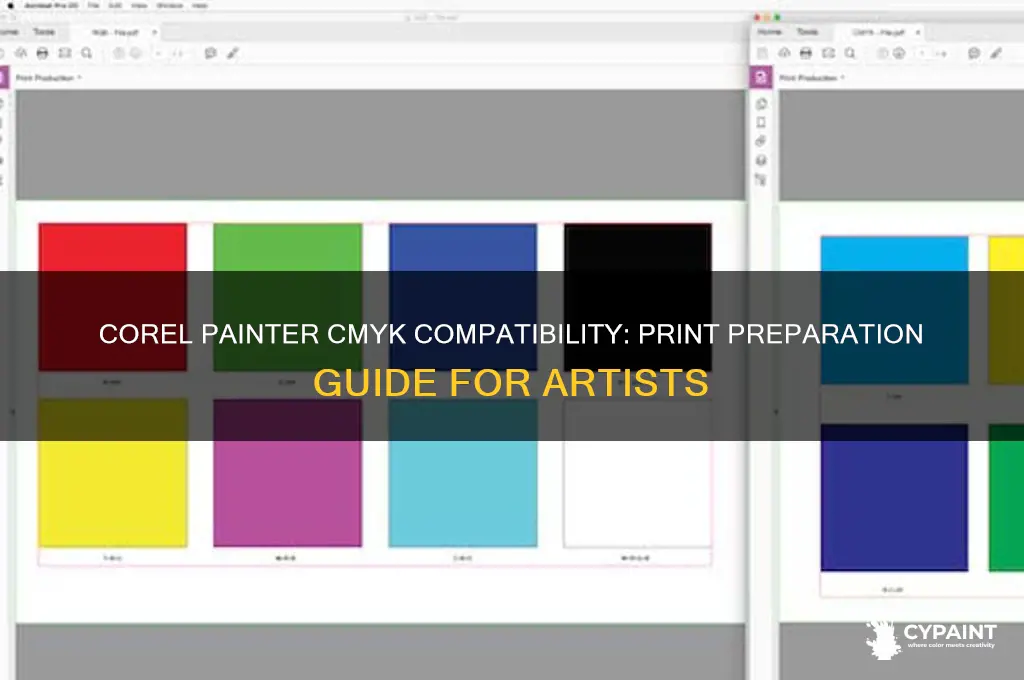 Corel Painter Cmyk Compatibility: Print Preparation Guide For Artists ...