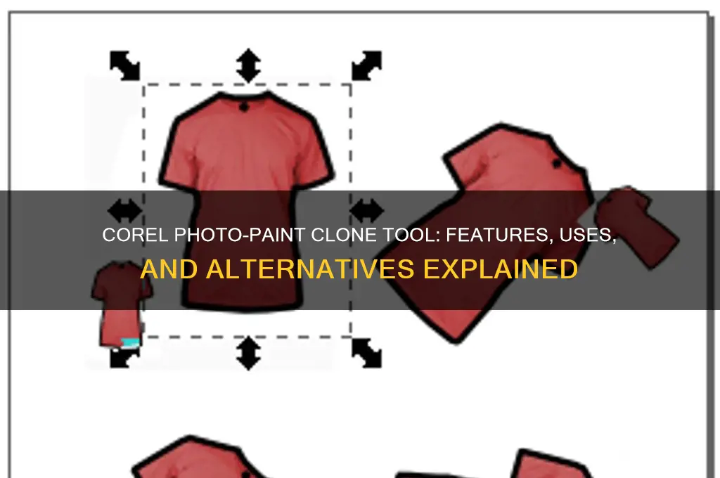 Corel Photo-Paint Clone Tool: Features, Uses, And Alternatives ...