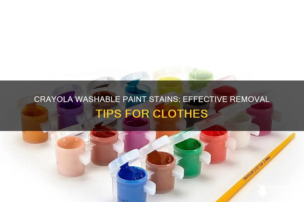 Crayola Washable Paint Stains: Effective Removal Tips For Clothes | CyPaint