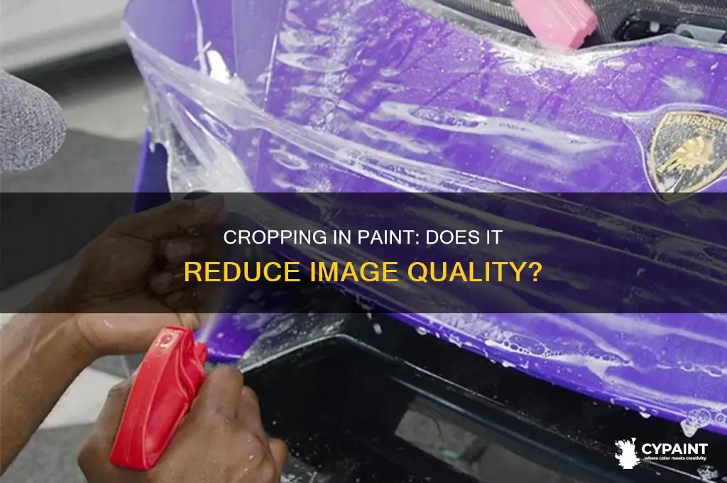 Cropping In Paint: Does It Reduce Image Quality? | CyPaint