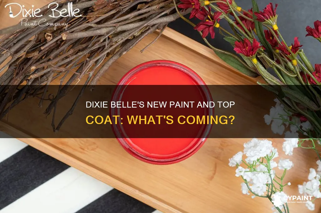 Dixie Belle's New Paint And Top Coat: What's Coming? | CyPaint