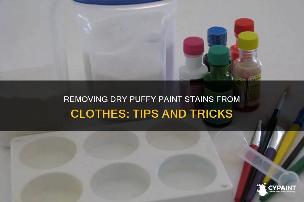 Removing Dry Puffy Paint Stains From Clothes: Tips And Tricks | CyPaint