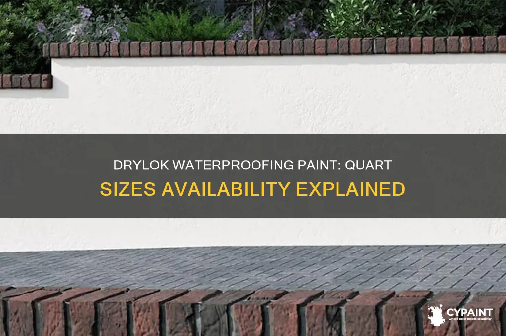 Drylok Waterproofing Paint: Quart Sizes Availability Explained | CyPaint