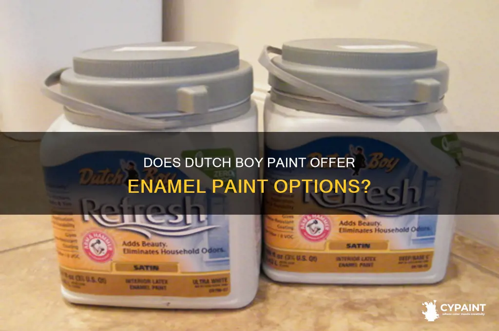 Does Dutch Boy Paint Offer Enamel Paint Options? | CyPaint