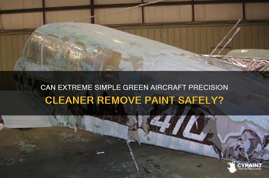 Can Extreme Simple Green Aircraft Precision Cleaner Remove Paint Safely ...