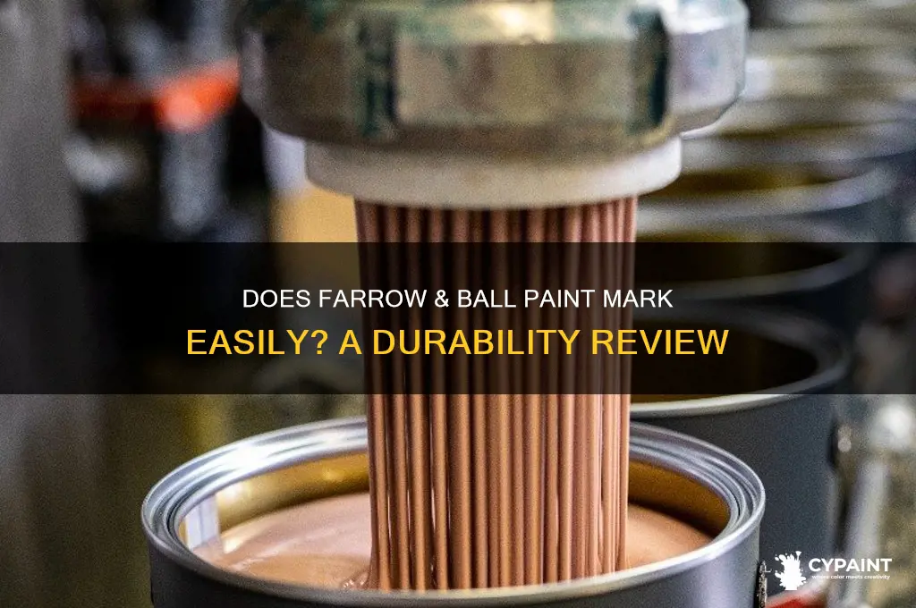 Does Farrow & Ball Paint Mark Easily? A Durability Review | CyPaint