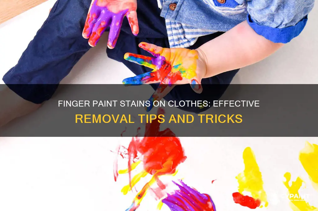 Finger Paint Stains On Clothes: Effective Removal Tips And Tricks | CyPaint