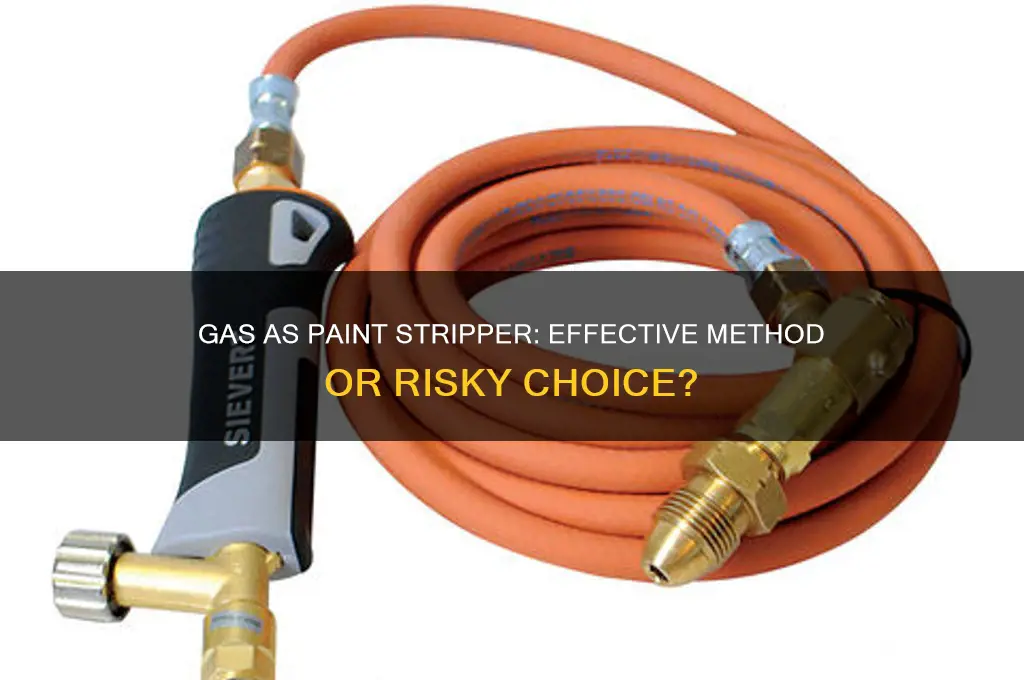 Gas As Paint Stripper: Effective Method Or Risky Choice? | CyPaint