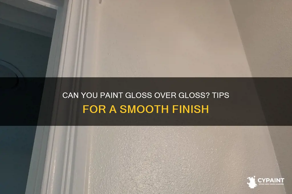 Can You Paint Gloss Over Gloss? Tips For A Smooth Finish | CyPaint
