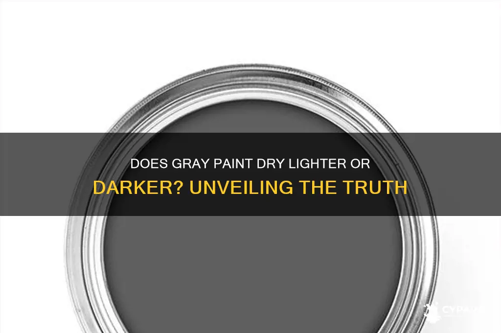 Does Gray Paint Dry Lighter Or Darker? Unveiling The Truth | CyPaint
