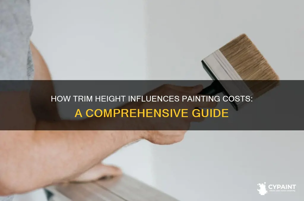 How Trim Height Influences Painting Costs: A Comprehensive Guide | CyPaint