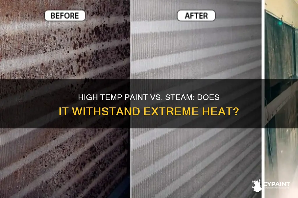 High Temp Paint Vs. Steam: Does It Withstand Extreme Heat? | CyPaint