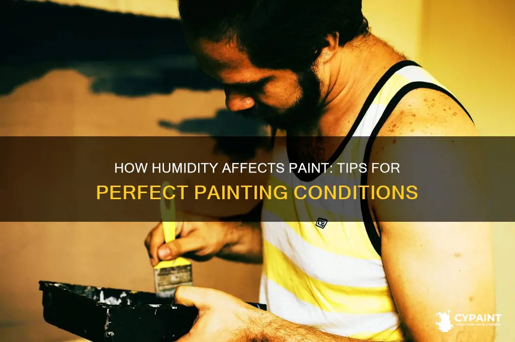 How Humidity Affects Paint: Tips For Perfect Painting Conditions | CyPaint