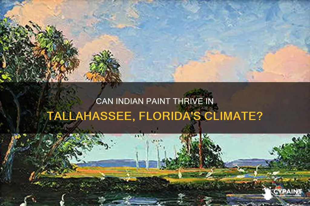 Can Indian Paint Thrive In Tallahassee, Florida's Climate? | CyPaint