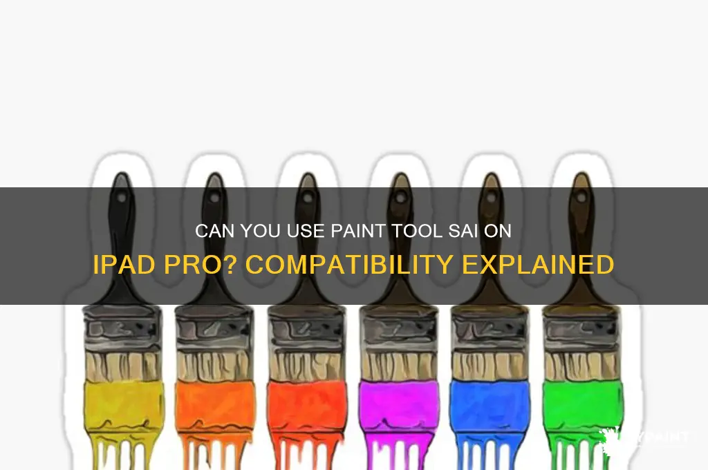 Can You Use Paint Tool Sai On Ipad Pro? Compatibility Explained | CyPaint