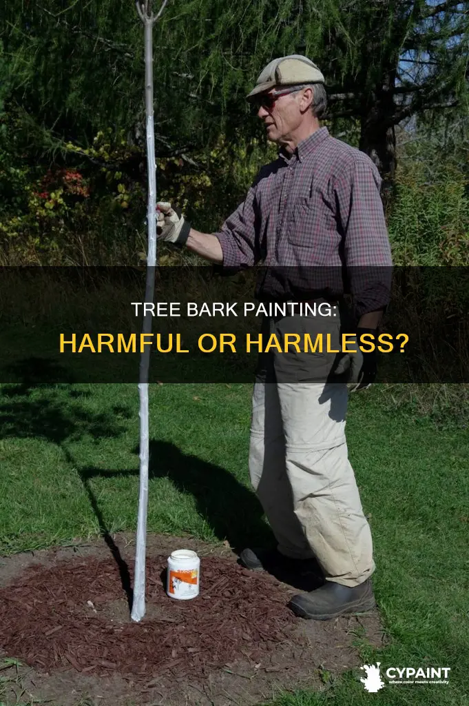 Tree Bark Painting: Harmful Or Harmless? | CyPaint