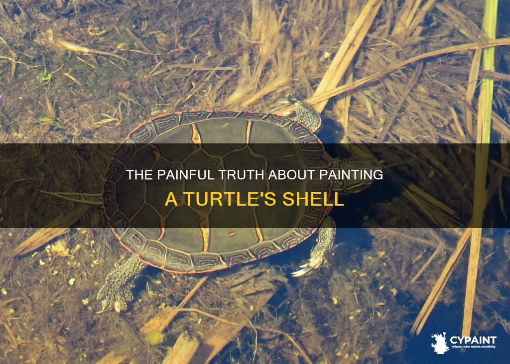 The Painful Truth About Painting A Turtle's Shell | CyPaint