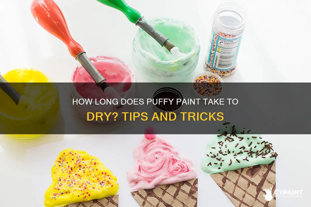 How Long Does Puffy Paint Take To Dry? Tips And Tricks | CyPaint