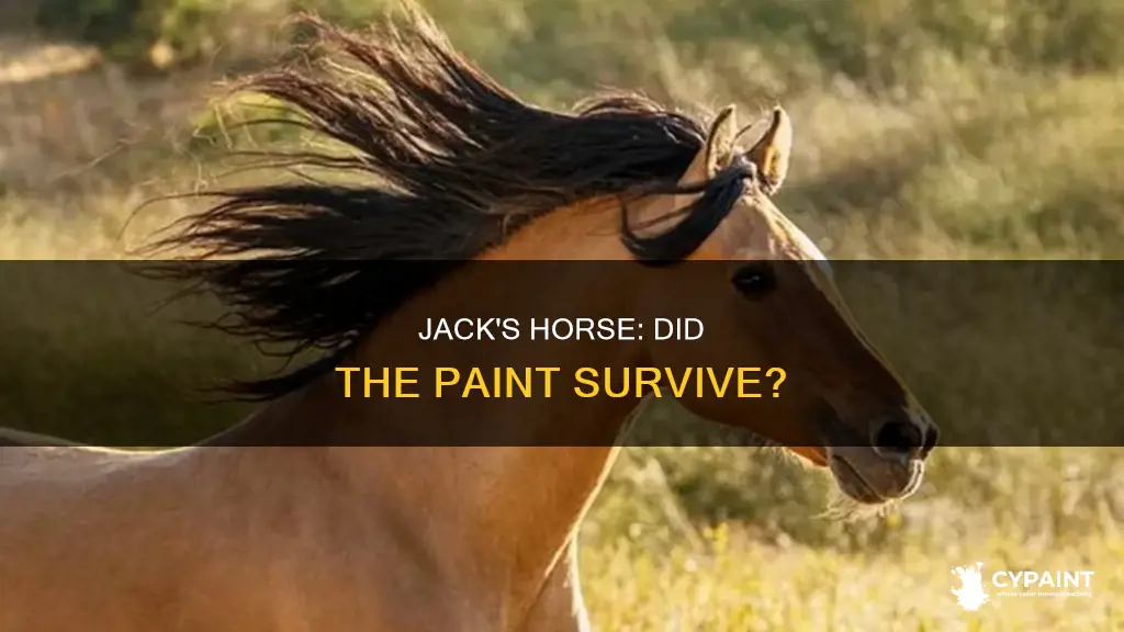 Jack's Horse: Did The Paint Survive? | CyPaint