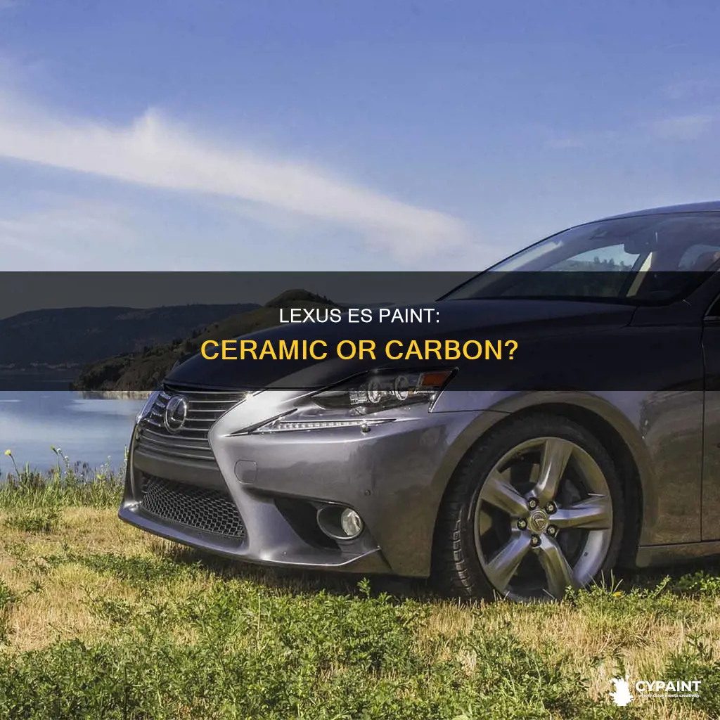 Lexus Es Paint: Ceramic Or Carbon? | CyPaint