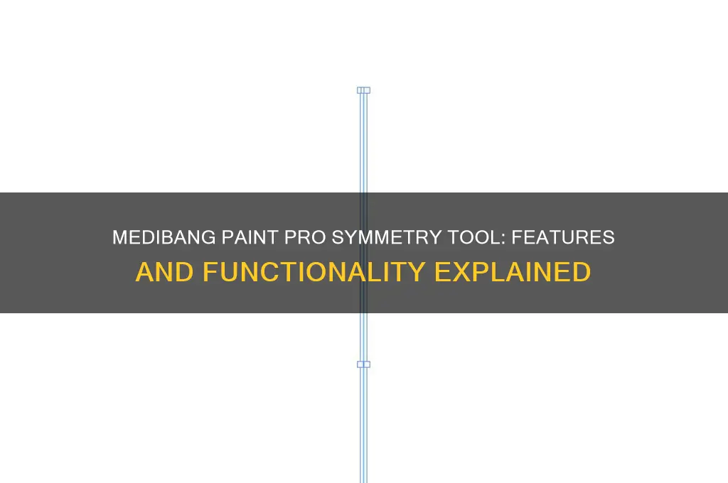 Medibang Paint Pro Symmetry Tool: Features And Functionality Explained ...
