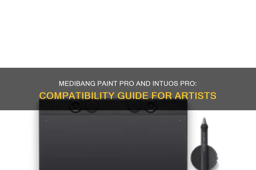 Medibang Paint Pro And Intuos Pro: Compatibility Guide For Artists ...