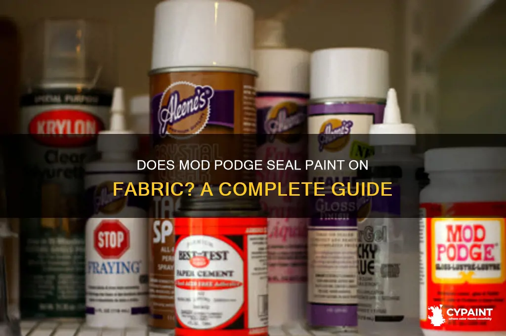 Does Mod Podge Seal Paint On Fabric? A Complete Guide | CyPaint