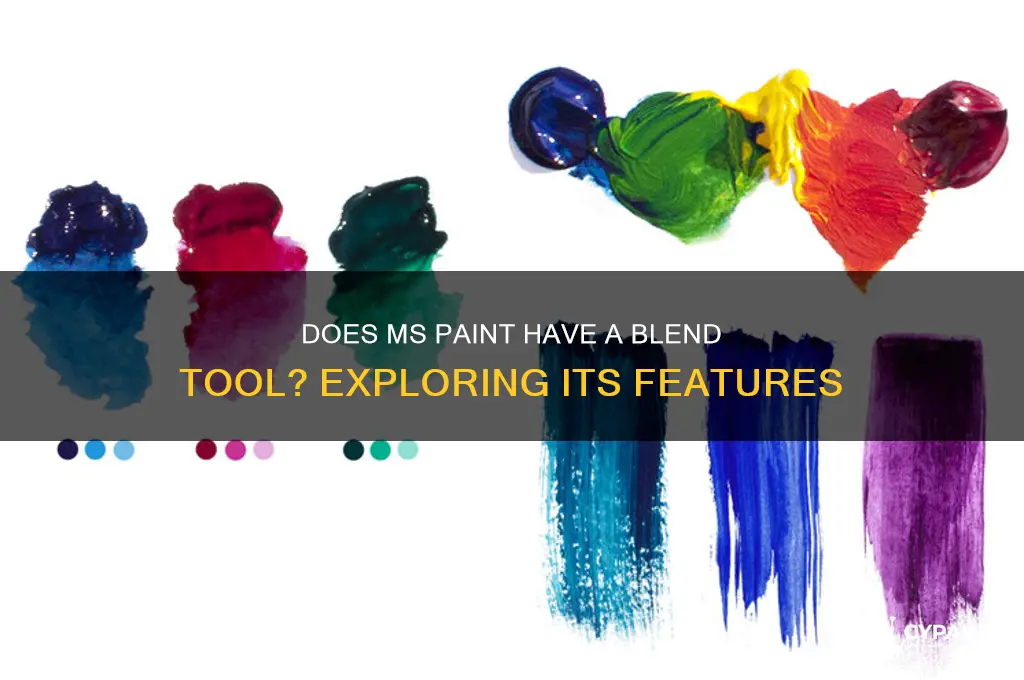 Does Ms Paint Have A Blend Tool? Exploring Its Features | CyPaint