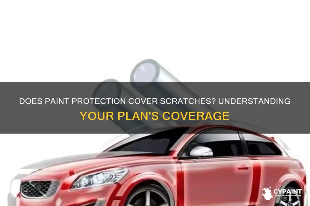 Does Paint Protection Cover Scratches? Understanding Your Plan's ...