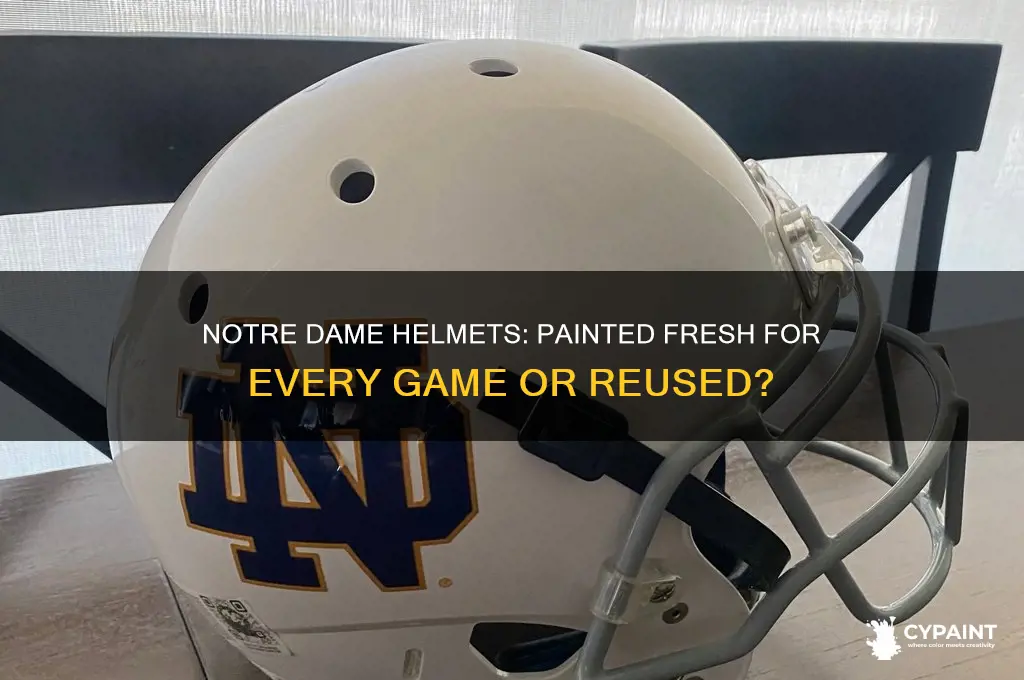 Notre Dame Helmets: Painted Fresh For Every Game Or Reused? | CyPaint