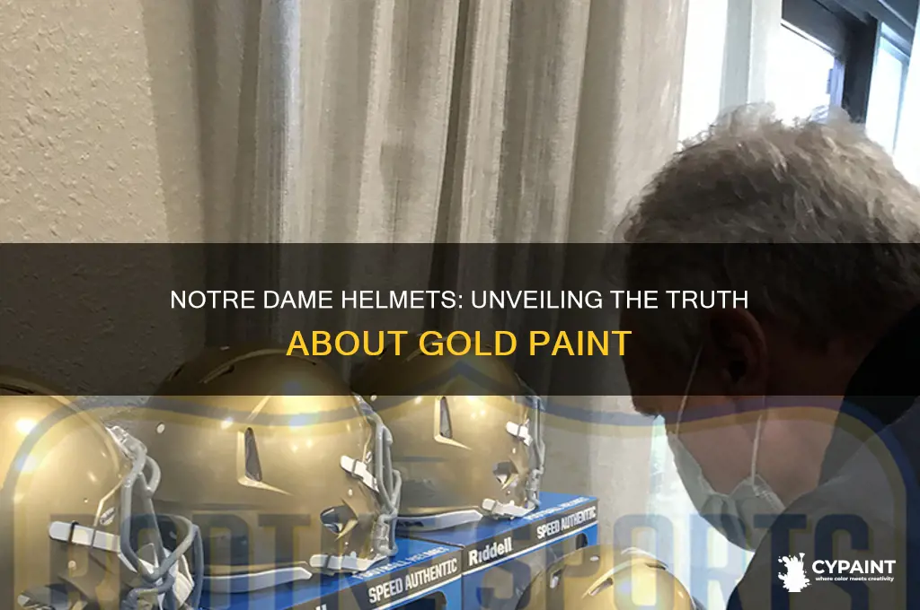 Notre Dame Helmets: Unveiling The Truth About Gold Paint | CyPaint