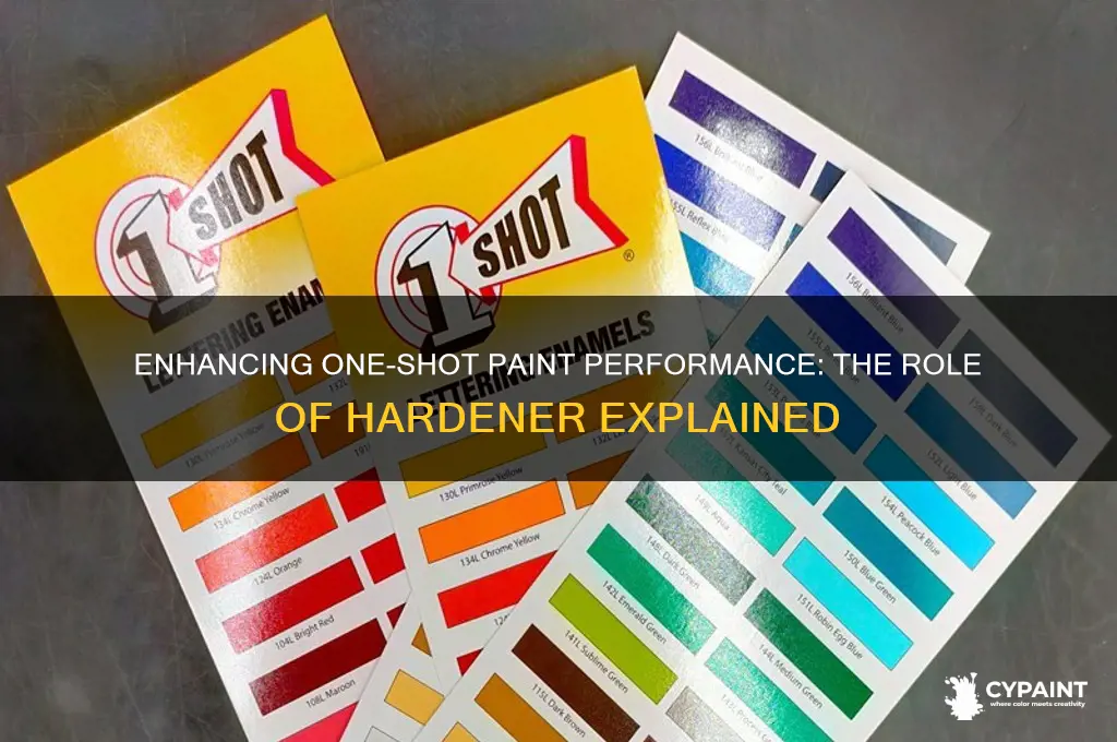 Enhancing One-Shot Paint Performance: The Role Of Hardener Explained ...