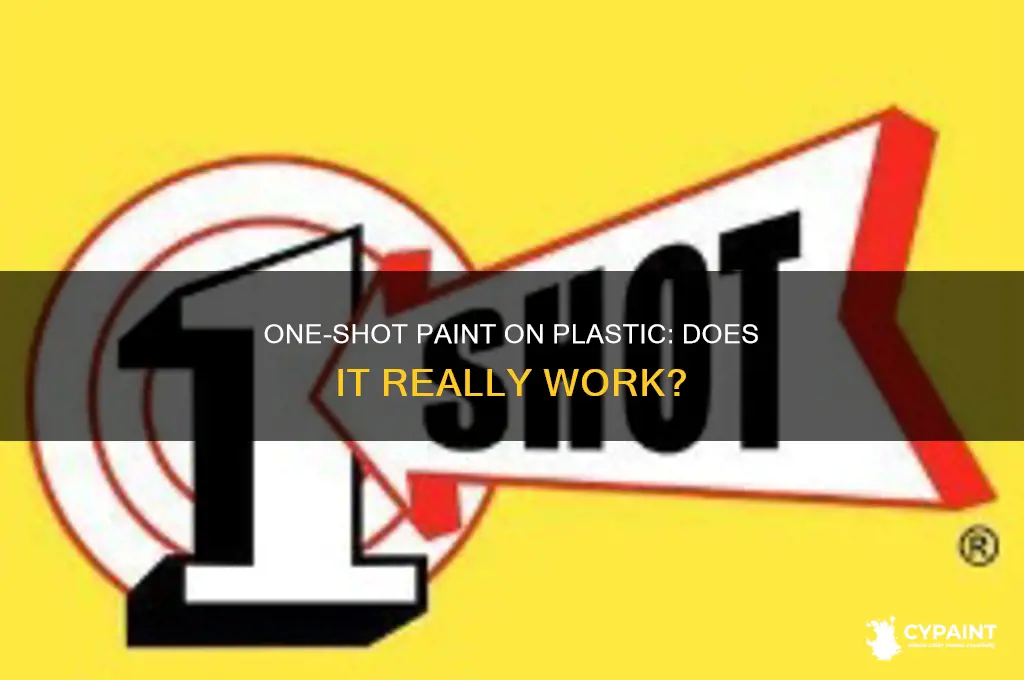 One-Shot Paint On Plastic: Does It Really Work? | CyPaint
