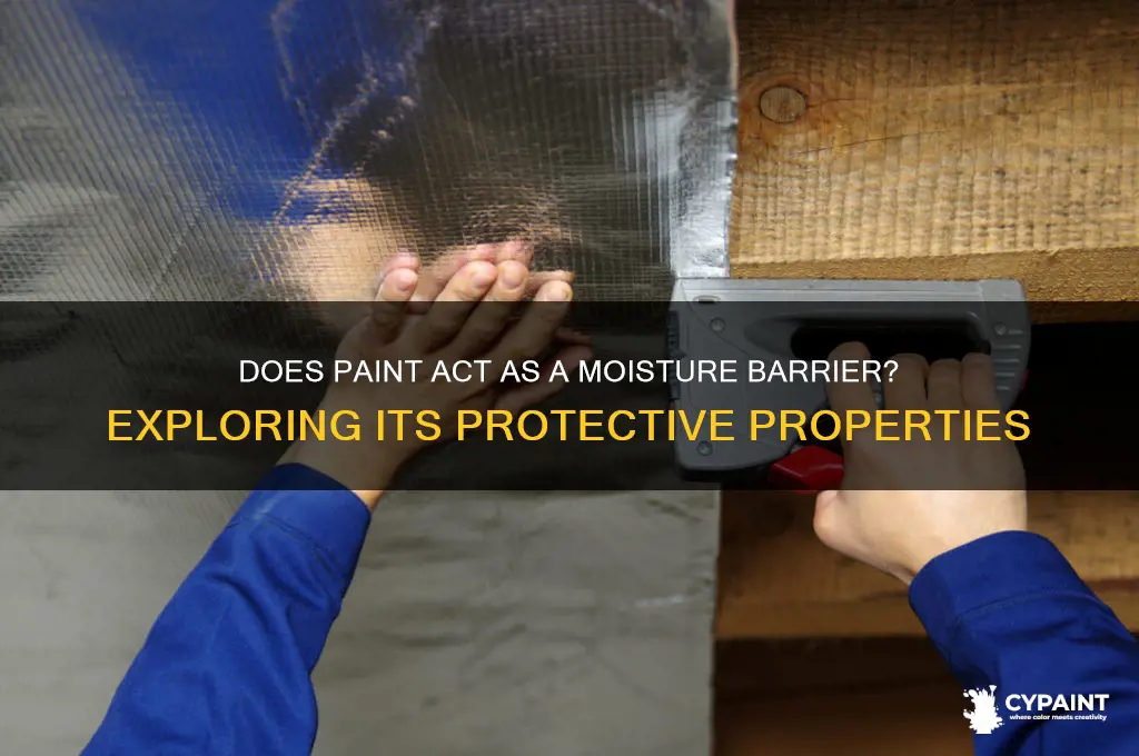 Does Paint Act As A Moisture Barrier? Exploring Its Protective ...