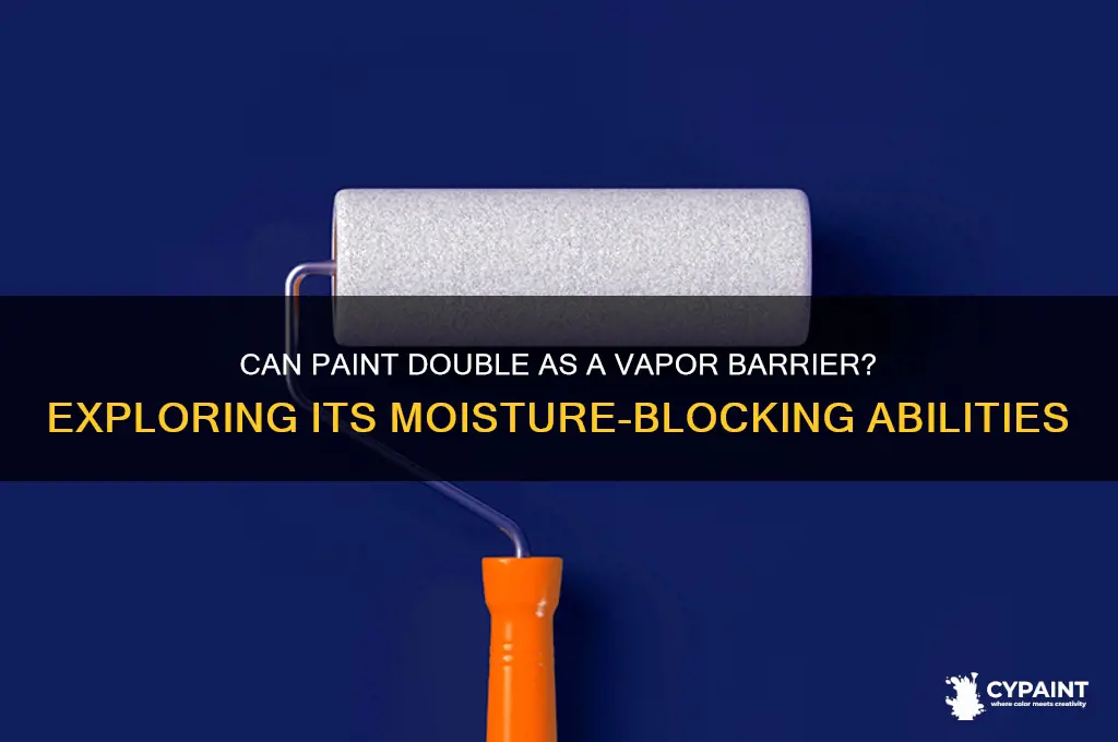 Can Paint Double As A Vapor Barrier? Exploring Its Moisture-Blocking ...