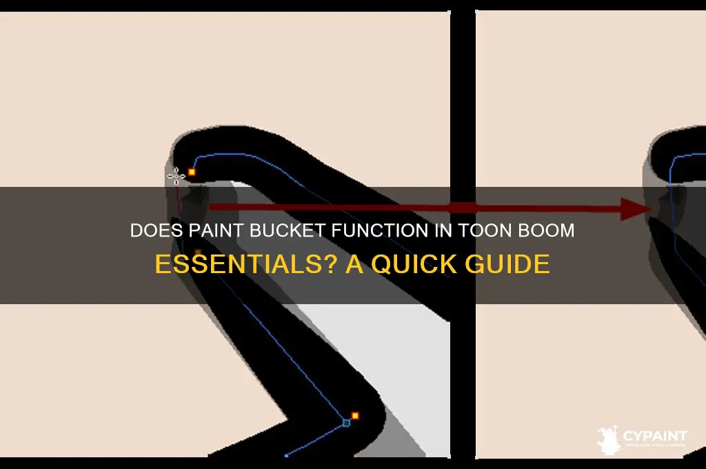 Does Paint Bucket Function In Toon Boom Essentials? A Quick Guide | CyPaint