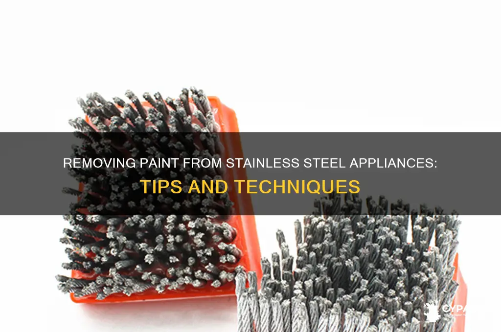 Removing Paint From Stainless Steel Appliances: Tips And Techniques ...