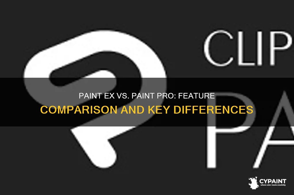 Paint Ex Vs. Paint Pro: Feature Comparison And Key Differences | CyPaint