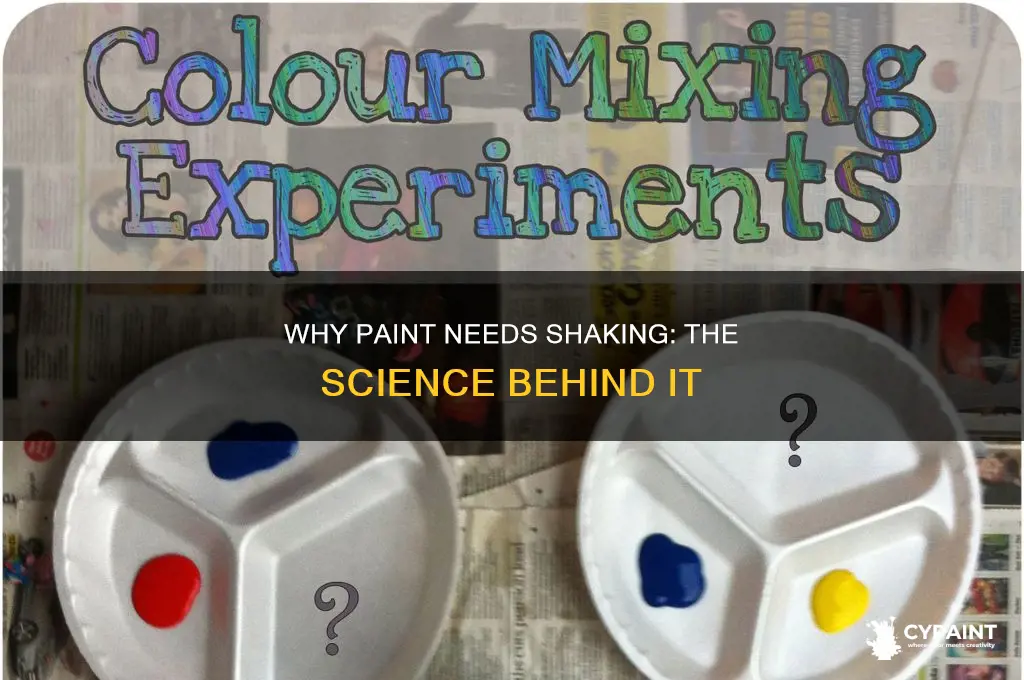 Why Paint Needs Shaking: The Science Behind It | CyPaint