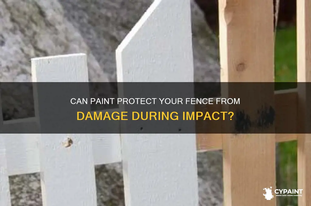 Can Paint Protect Your Fence From Damage During Impact? | CyPaint