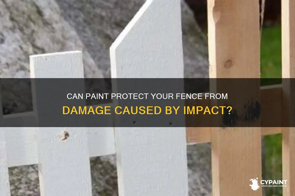 Can Paint Protect Your Fence From Damage Caused By Impact? | CyPaint