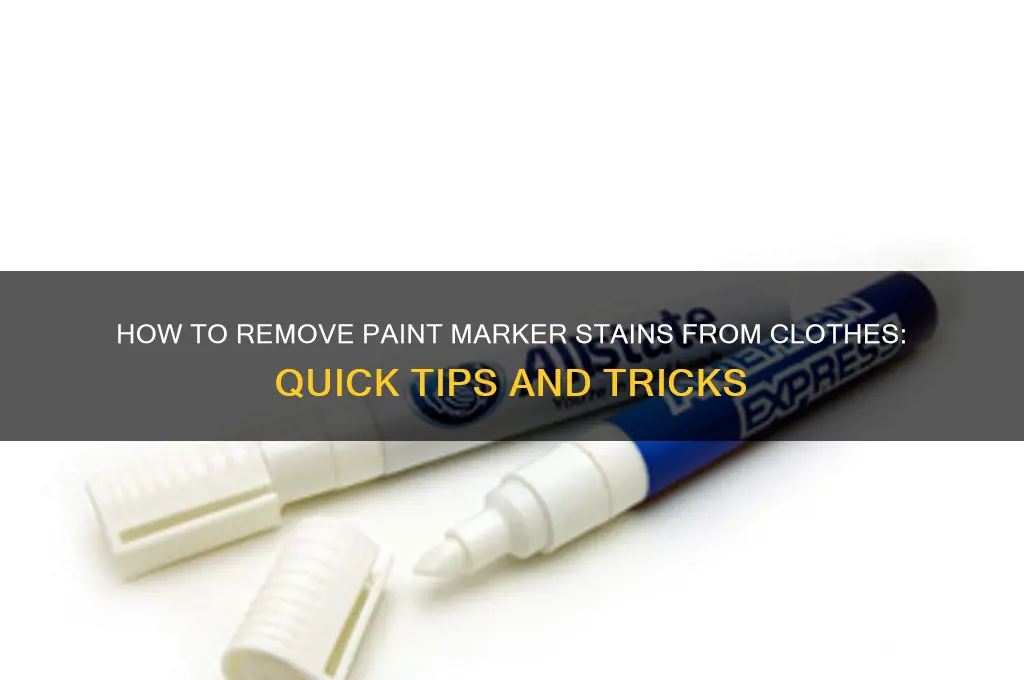 How To Remove Paint Marker Stains From Clothes: Quick Tips And Tricks ...