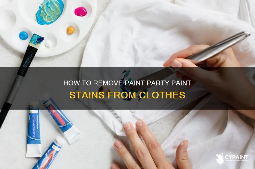 How To Remove Paint Party Paint Stains From Clothes | CyPaint