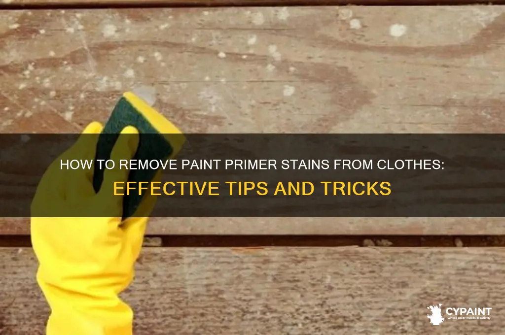How To Remove Paint Primer Stains From Clothes: Effective Tips And ...