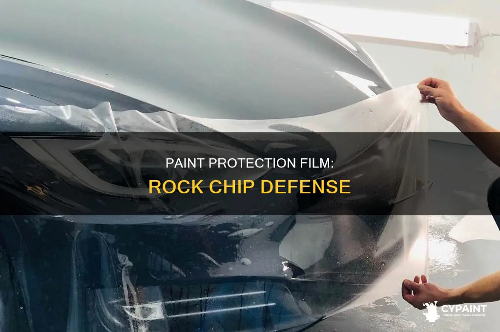 Paint Protection Film: Rock Chip Defense | CyPaint