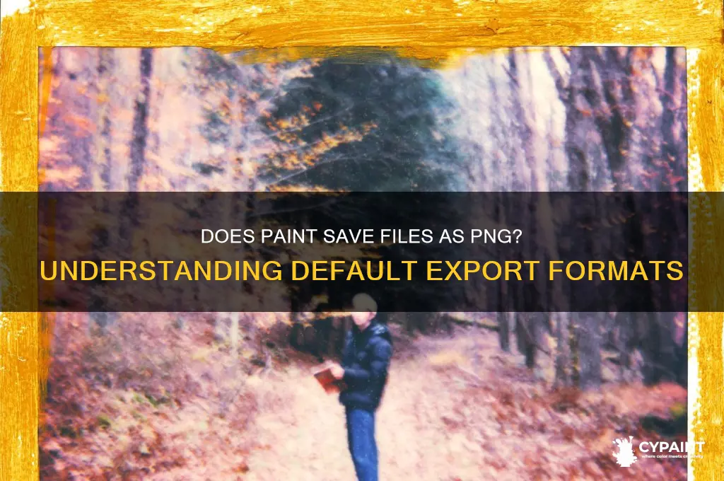 Does Paint Save Files As Png? Understanding Default Export Formats ...